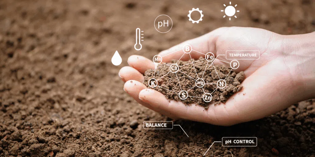 Your Guide to Sustainable Soil Management for Gardens | Lawrence Park